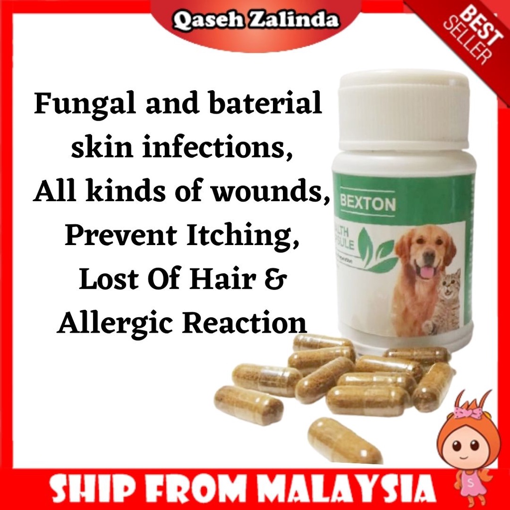 Bexton Skinhealth capsules for skin health (Dog and Cat) Kurap Fungus ...