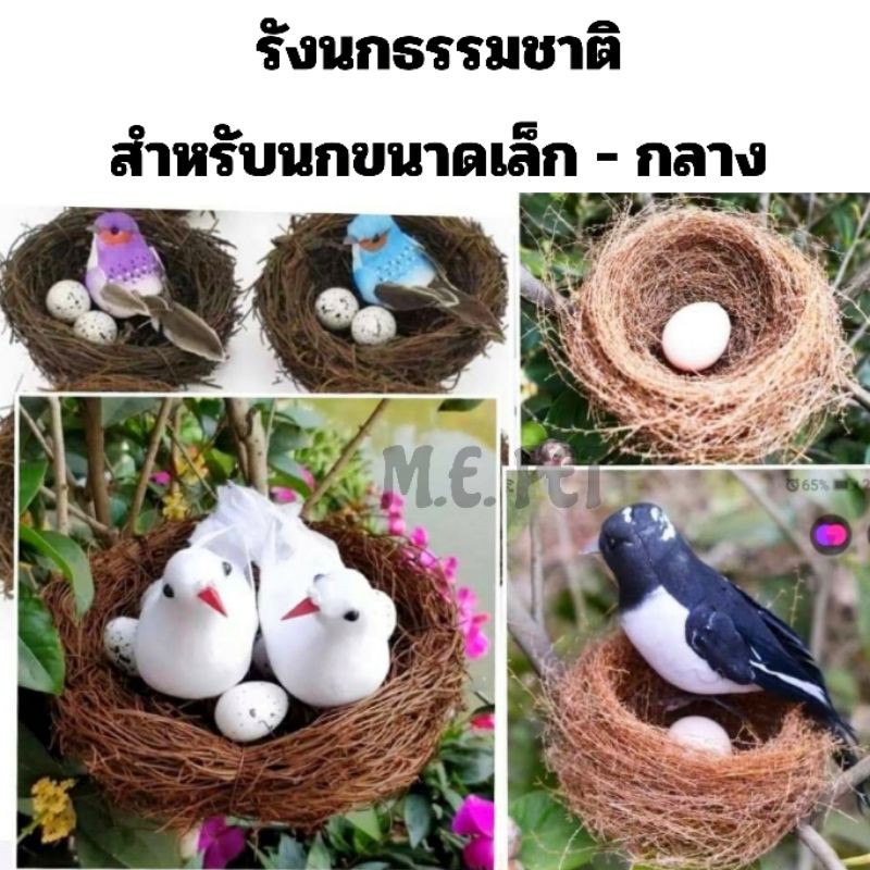 Bird's Nest Bird House Round Natural For Small-Medium Birds (CS ...