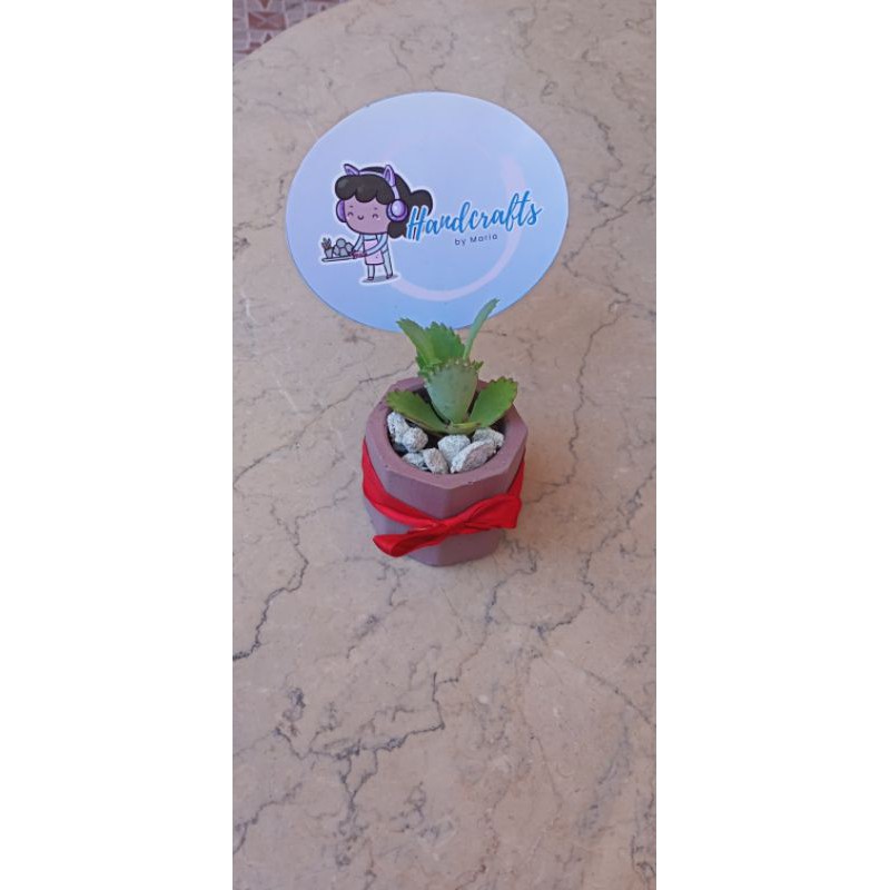 plants souvenirs (with printed and ribbon) | Shopee Philippines