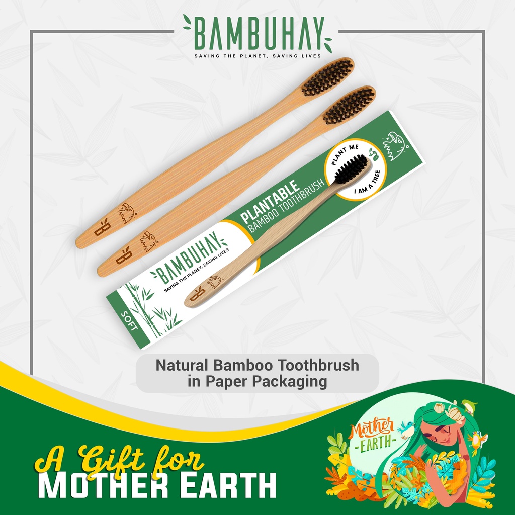 Natural Bamboo Toothbrush in Paper Packaging (2pcs) | Shopee Philippines