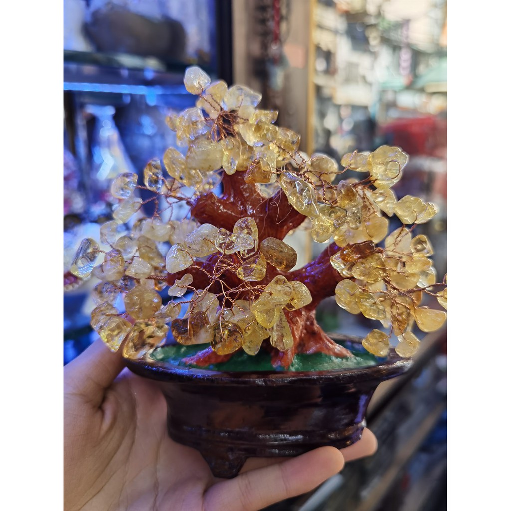 citrine money tree/ natural citrine money tree | Shopee Philippines