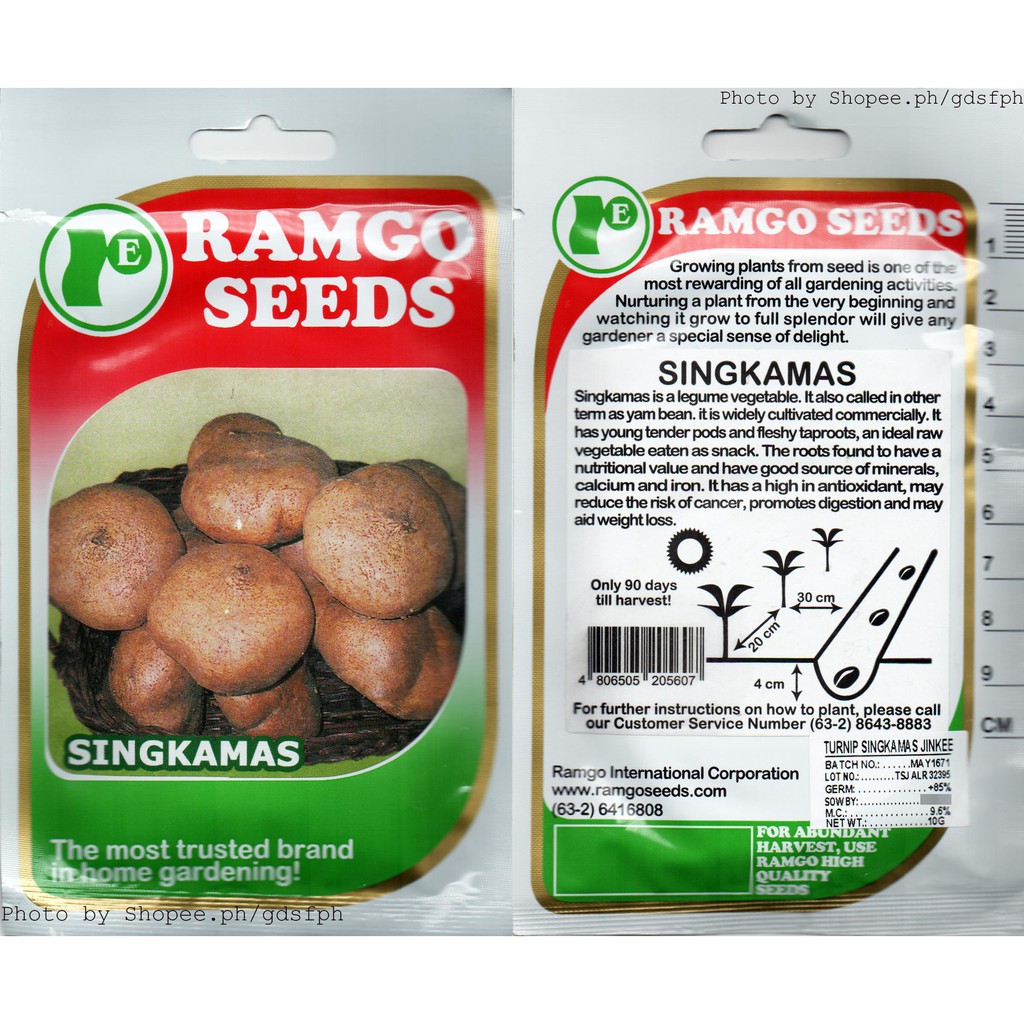 Ramgo RPO Seeds Turnip Singkamas Jinkee 10g (Original Pack) GDSFPH_S4 ...