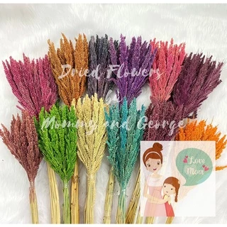 trigo - Best Prices and Online Promos - Sept 2025 | Shopee Philippines