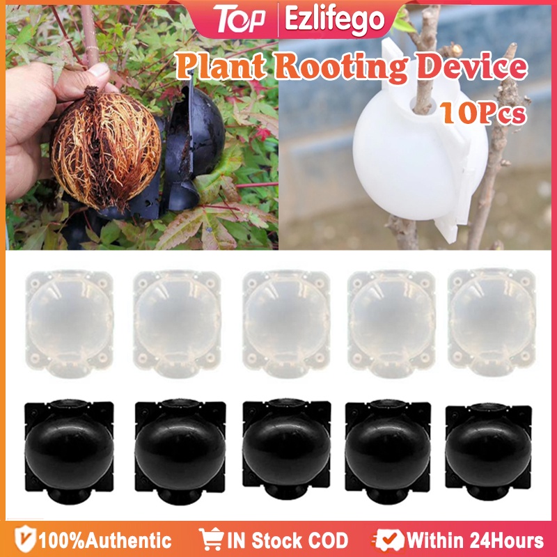 10Pcs Plant Rooting Device Reusable Plant Rooting Ball For High ...