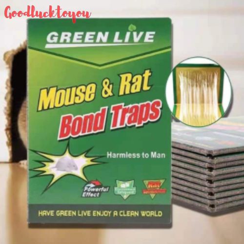 GOODLUCK-Green Card Power Mouse Rubber Sheet/mouse trap/traps/mouse ...