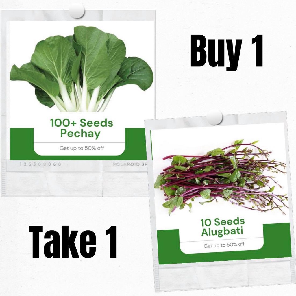 Sale Buy 1 Take 1 Seeds Pechay 100 Seeds and Red Alugbati 10 Seeds ...