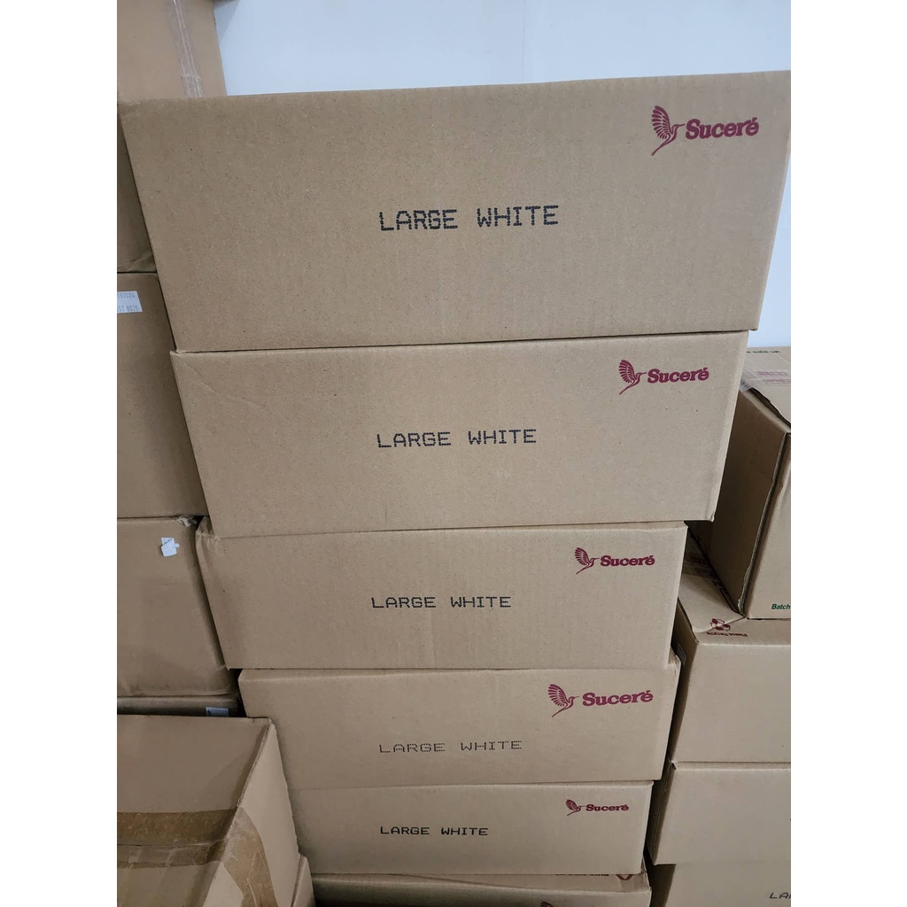 Wholesale Choco Pinoy 1 box Sucere Large White Marshmallows Mallows ...