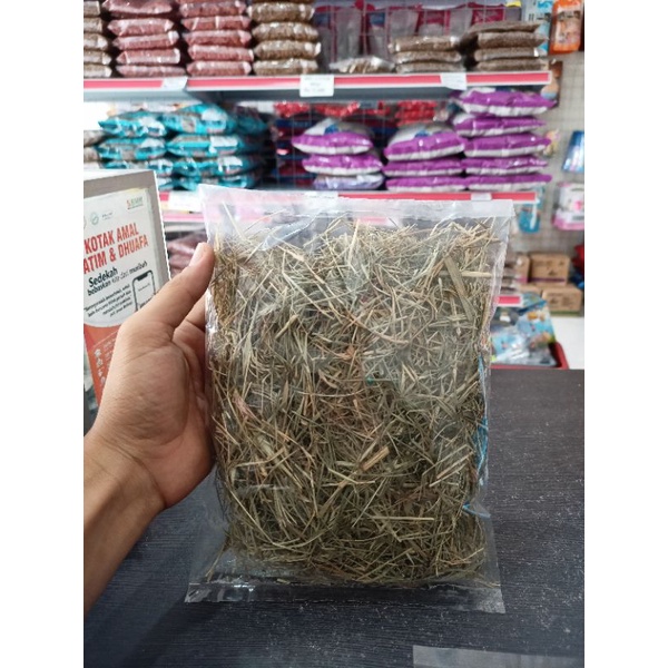 Rabbit Grass Rabbit Grass Food Rabbit Grass | Shopee Philippines