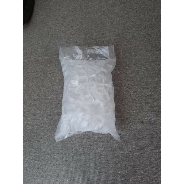 Ice Plastic Bag Transparent for 1kg 100pcs | Shopee Philippines