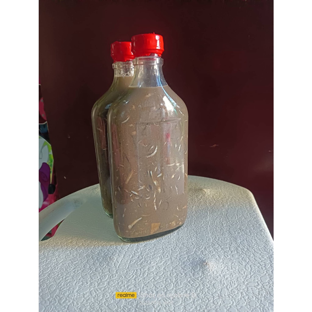 Regular Black Ginamos Dilis/lupoy fermented fish | Shopee Philippines