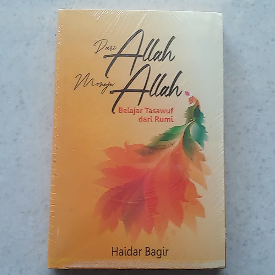 Book From Allah to Allah: Learning Sufism from Rumi - Haidar Bagir ...