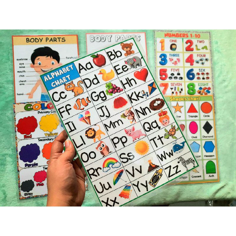 BEGINNERS CHARTS LAMINATED EDUCATIONAL | Shopee Philippines