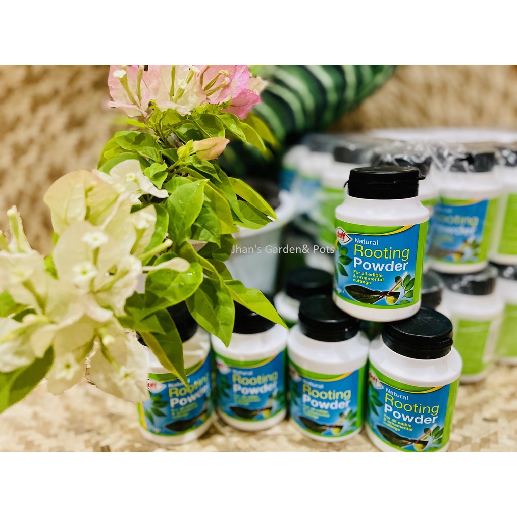 DOFF Natural Rooting Powder (75g) For all edible and ornamental ...