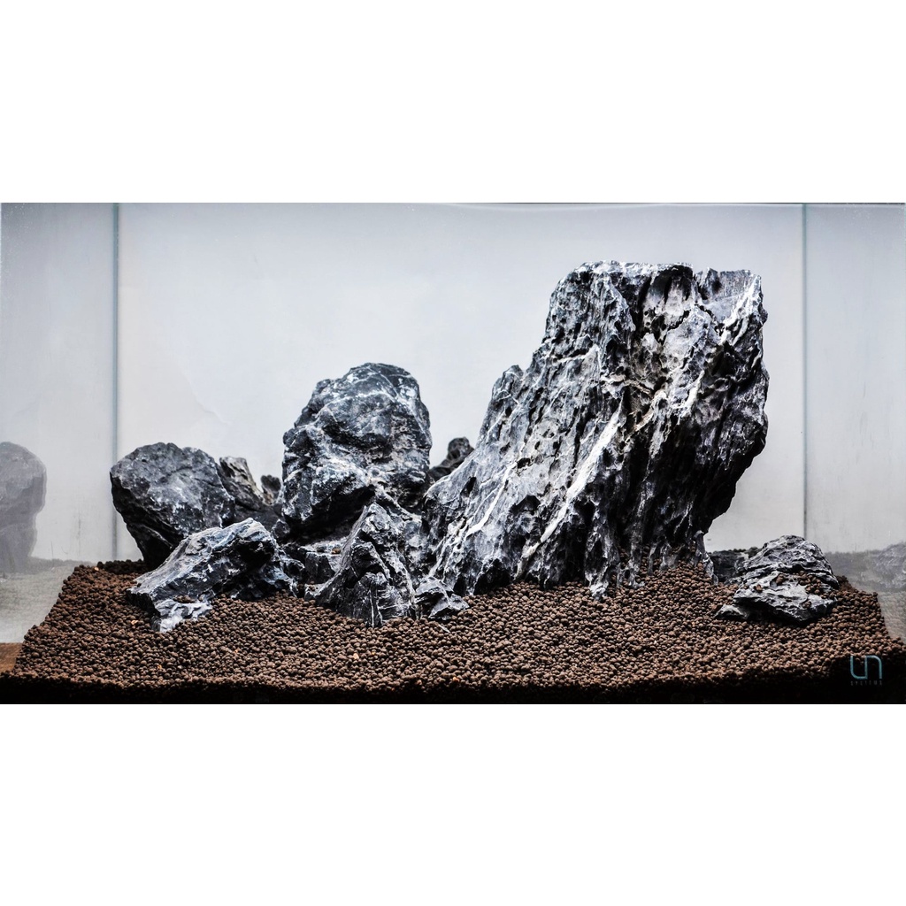Seiryu Stone for aquascape 1Kg | Shopee Philippines