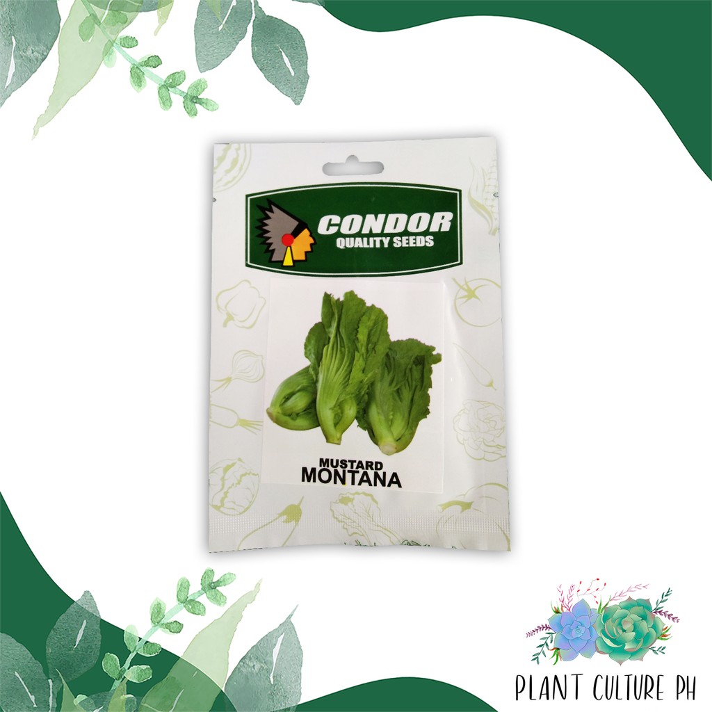 Condor Quality Seeds Mustard Montana 5G | Shopee Philippines