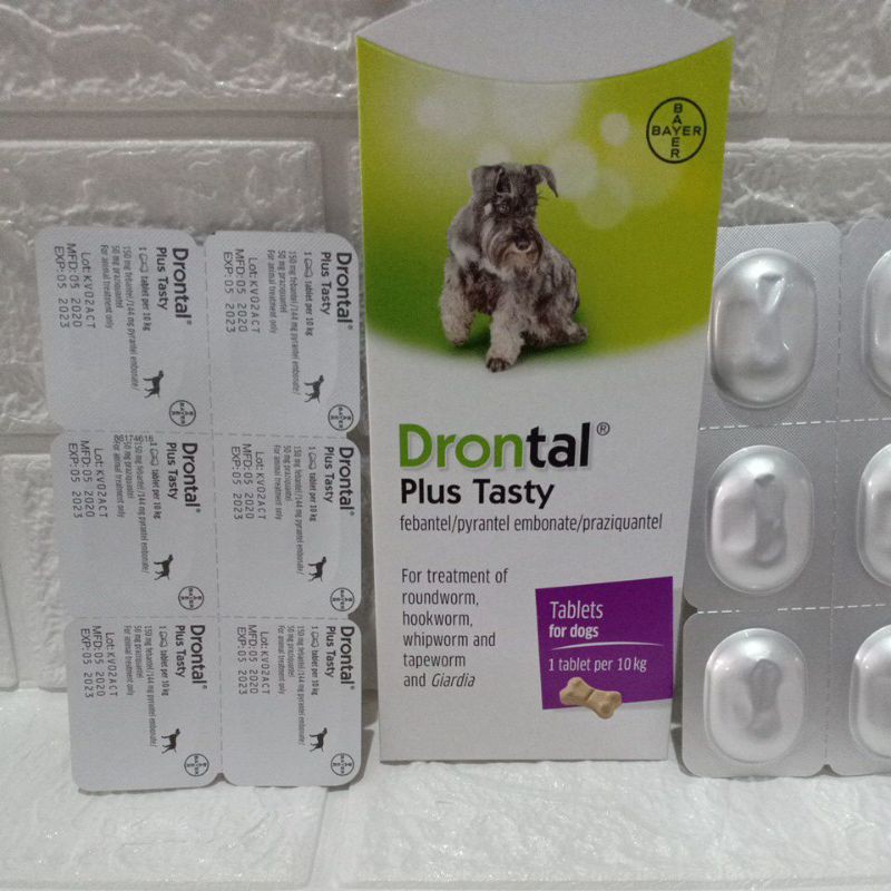 Drontal Plus Tasty Worm Medicine For Bayer Dogs | Shopee Philippines