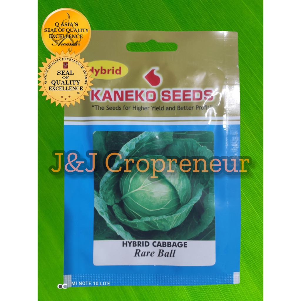 RARE BALL F1 HYBRID CABBAGE SEEDS 393 SEEDS (KANEKO SEEDS) | Shopee ...