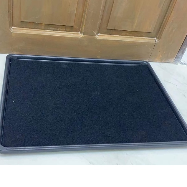 Disinfecting Mat With Tray Foot Bath Sanitation Mat | Shopee Philippines