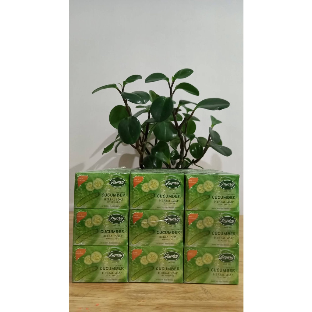 Pyary Cucumber Herbal Soap 75g | Shopee Philippines