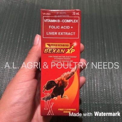 Thunderbird BEXAN XP B-Complex + Folic Acid + Liver Extract (10/20 ...