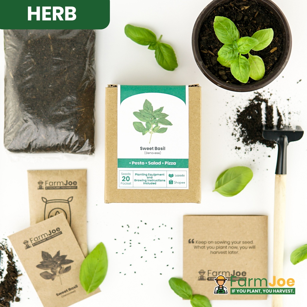 Growing Kit BASIL • Seedling Kit • Seed Starting Kit • Grow Kit ...