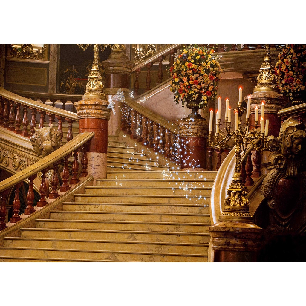 Beauty Backdrops for Photography Beast Red Carpet Stairs Party ...