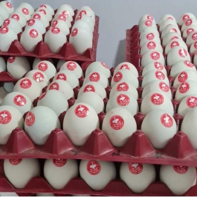 Itlog ni Kuya/ salted egg from Victoria Laguna/Metro Manila ONLY/SF not ...