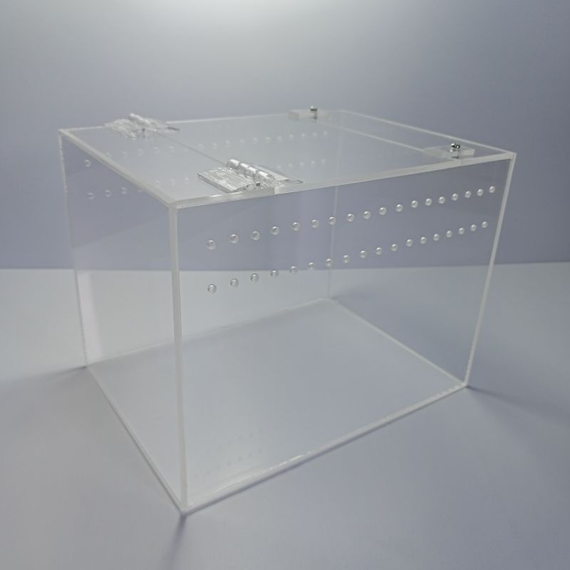 6*6"8 Acrylic Enclosure Tarantula Enclosure | Shopee Philippines