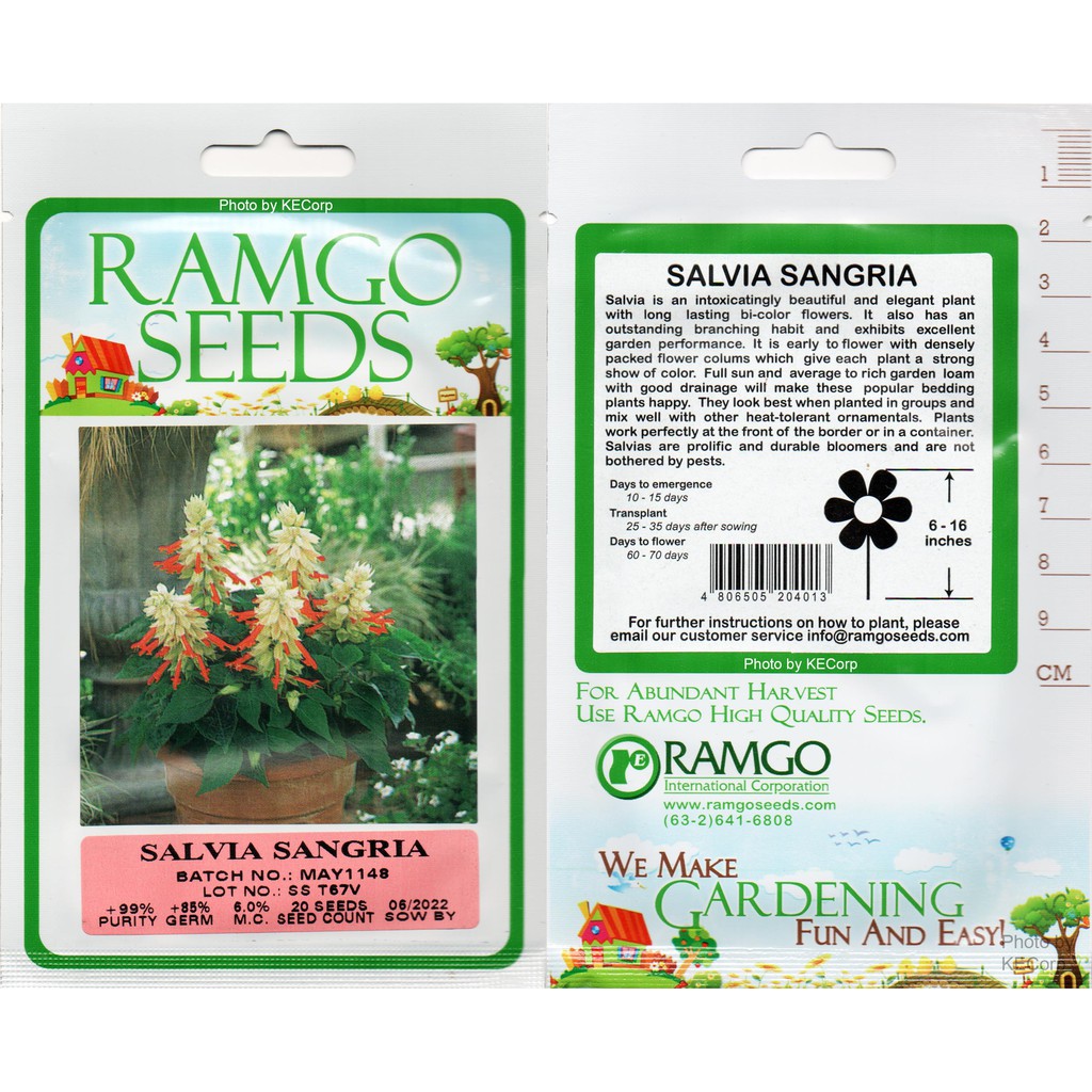 Ramgo Salvia Flower Seeds - Sold per Pack per Variety KECORP_S1 ...