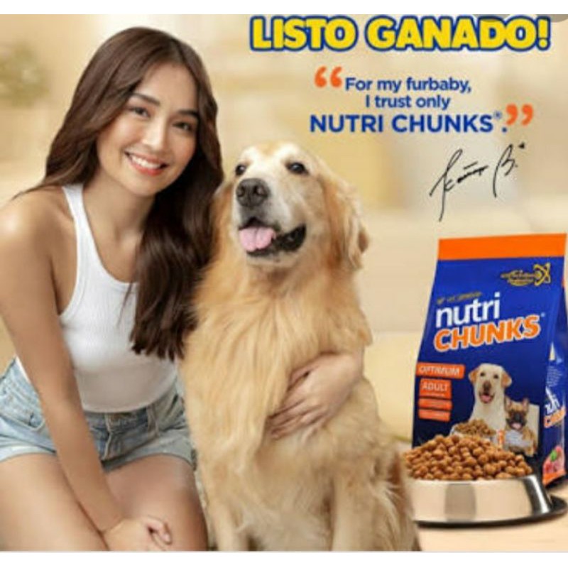 NUTRI CHUNKS DOG FOOD *1 KG REPACK ( Puppy Hi protein/ Adult - beef ...