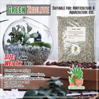 zeolite - Best Prices and Online Promos - Dec 2025 | Shopee Philippines