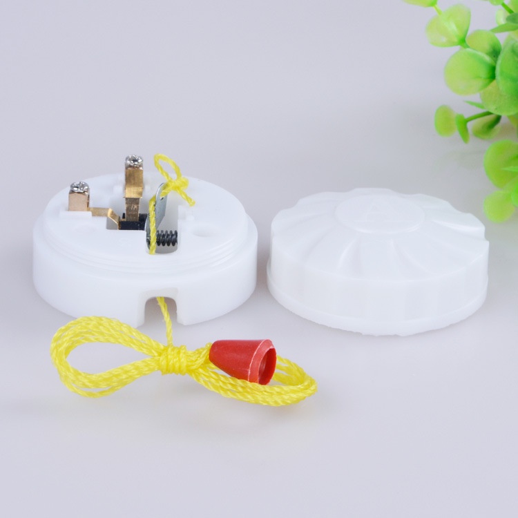 Zipper Switch for Ceiling Lights 220V 4A | Shopee Philippines