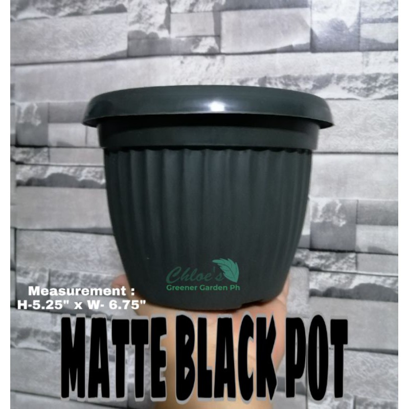 BLACK POT WHITE POT FOR PLANTS AND GARDENING PLANTERS Paso Para sa ...