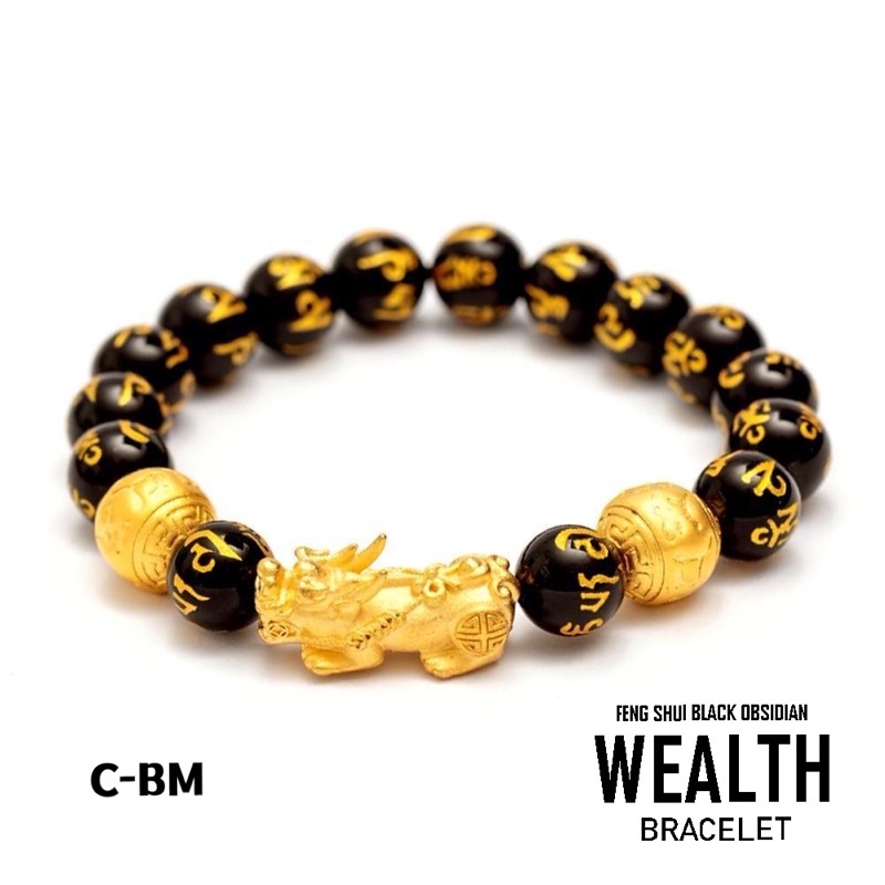 [BALFE]lucky charm money magnet PIYAO(PIXIU)and feng shui black ...