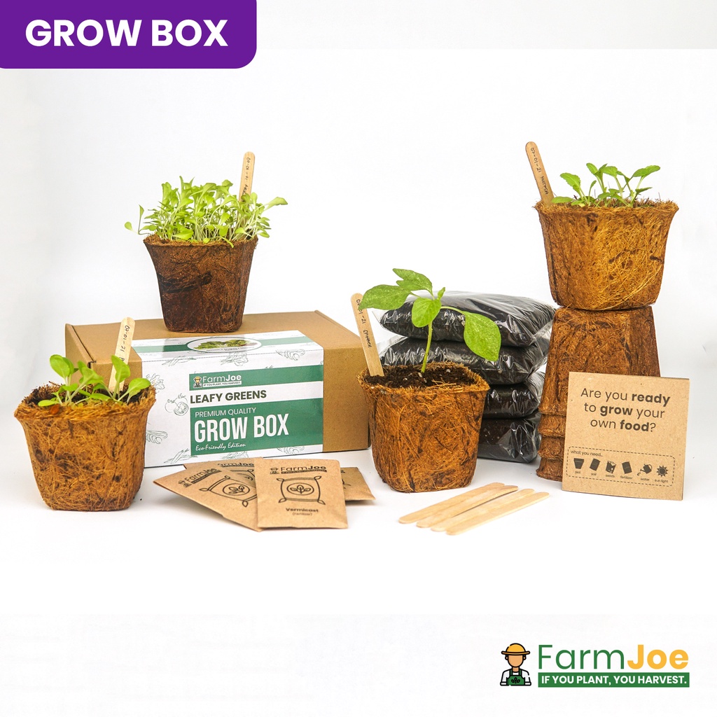 Growing Box LEAFY GREENS • Seedling Kit • Seed Starting Kit • Grow Kit ...