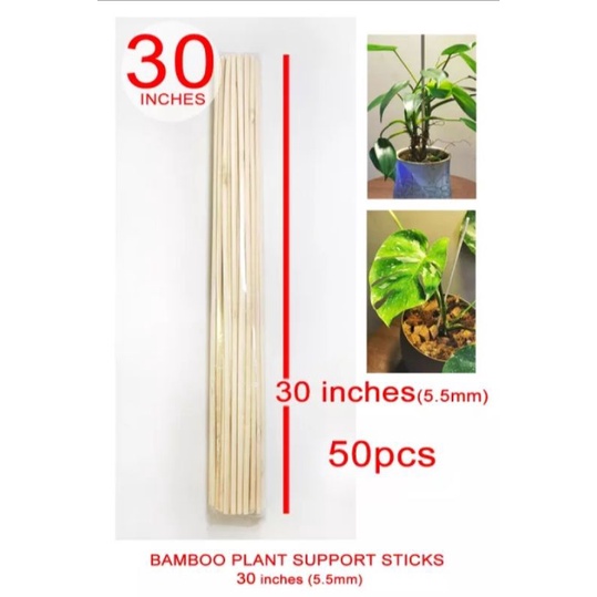 30 inches 5.5mm and 6.6mm BAMBOO PLANT SUPPORT/GROW STICKS | Shopee ...