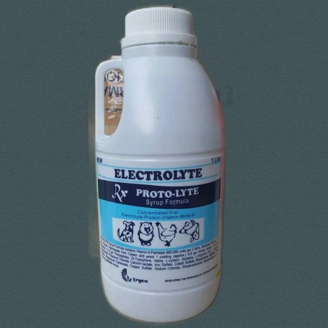 Protolyte syrup formula 1liter | Shopee Philippines