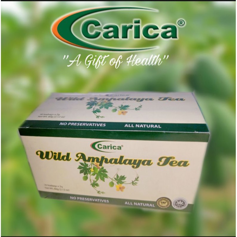 Carica WILD AMPALAYA TEA 60g (30 teabags) | Shopee Philippines