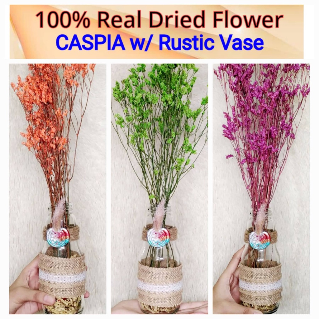 Dried CASPIA flowers with Rustic Vase | Shopee Philippines