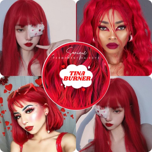 120ML SONIQUE Permanent Hair dye READY TO APPLY! NO NEED OXIDIZER ...