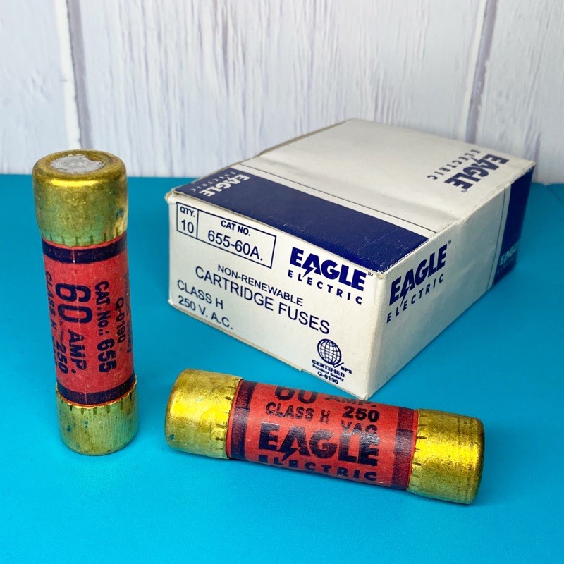 2 Pcs Eagle Fuse Non-Renewable For Safety Switch | Shopee Philippines