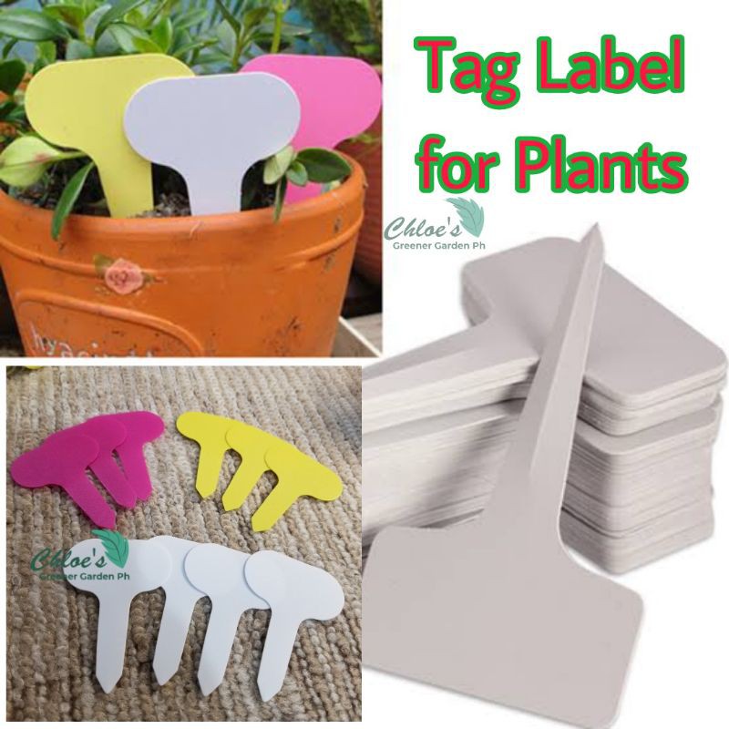 10 pcs Plant Tag / label for gardening plant organizer plant name label ...