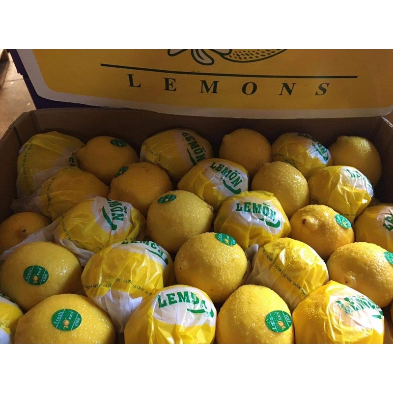 Lemon fresh fruit fruits lemon 1 kg kilo approx 7 to 10 pcs | Shopee Philippines