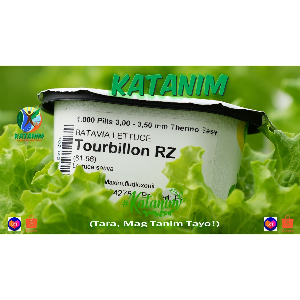 Tourbillon RZ by Rijk Zwaan Seeds 1 Tub (1000 seeds) Lettuce Hydroponic ...