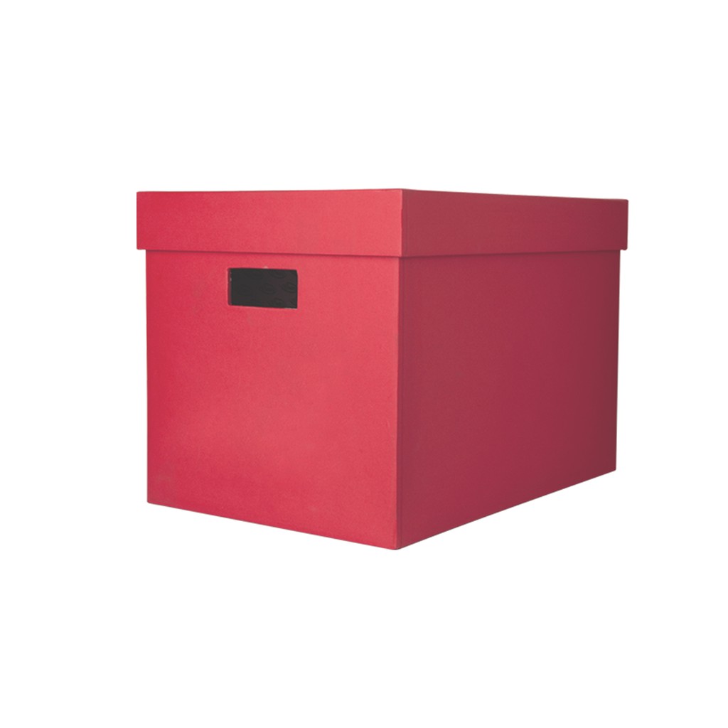 Starfile Storage Box - ( Arlin/ Buffalo Skin) | Shopee Philippines