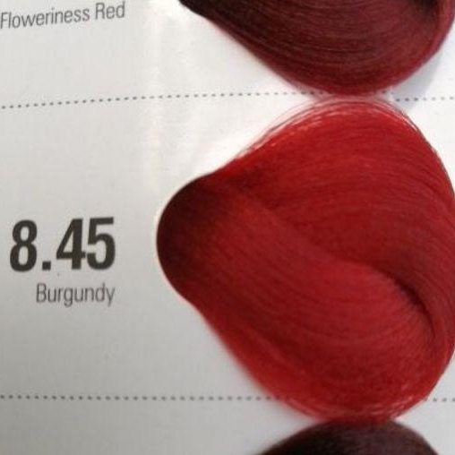 Bremod Haircolor 8.45 (Burgundy) | Shopee Philippines
