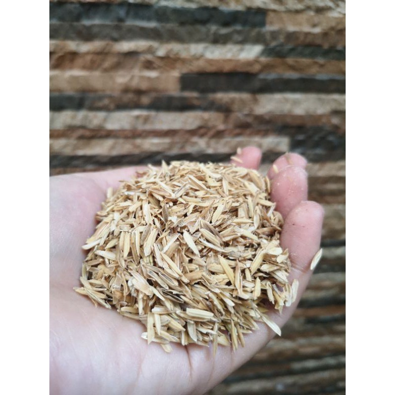 Rice Hull in 500 grams per pack (Compost) | Shopee Philippines