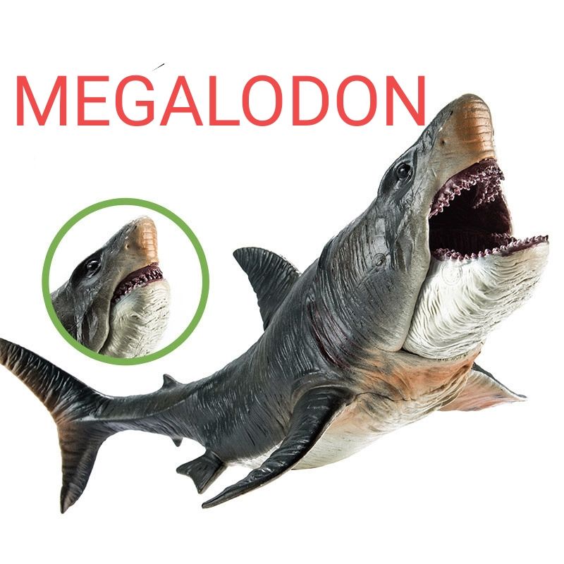 Megalodon shark moveable jaw | Shopee Philippines