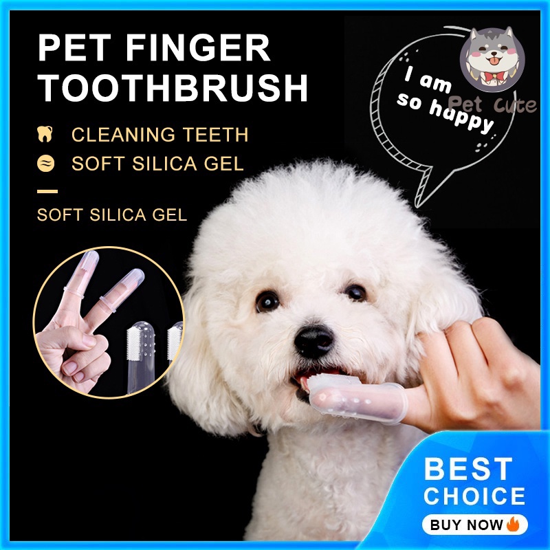 Dog toothbrush Transparent silicone Pet toothbrush Dog toothpaste ...