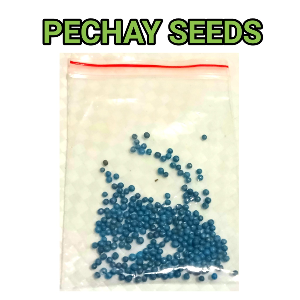 200 SEEDS-PECHAY SEEDS | Shopee Philippines